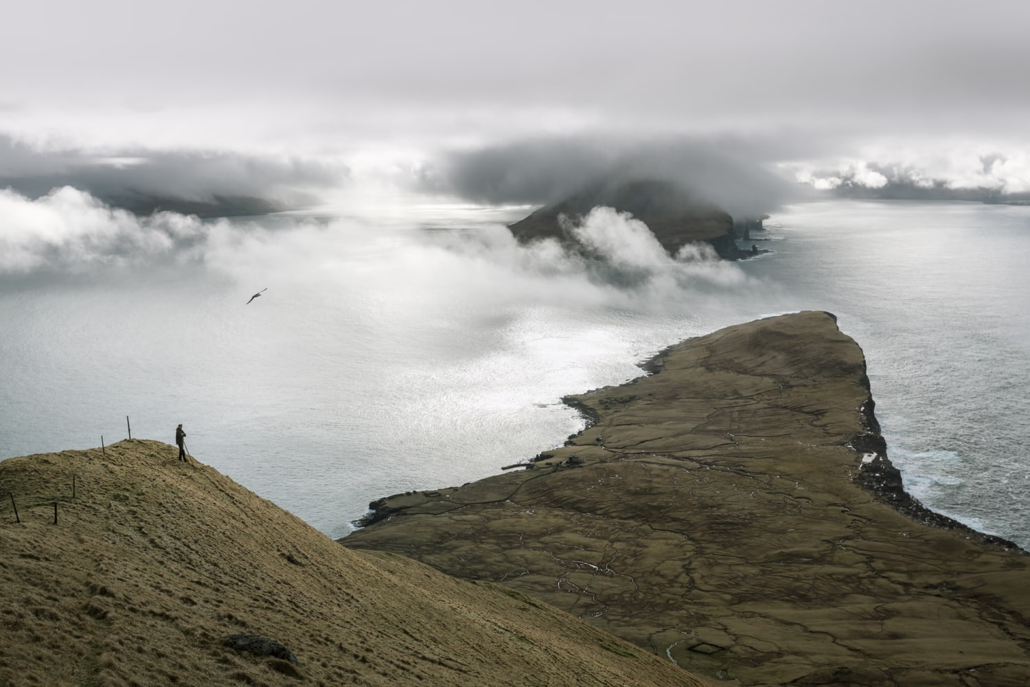 The isle of Maybe | Sint Lucas Antwerpen